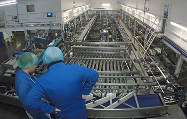 Denholm Seafoods building GBP 30 million processing facility for ...