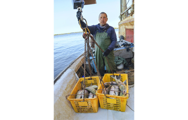 Cod, salmon catch pushes Russia’s 2019 haul to around 5 million MT ...