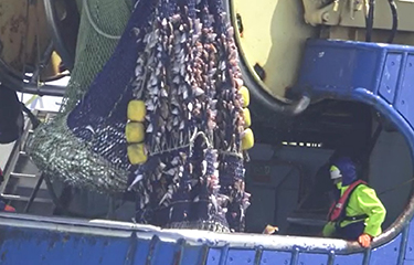 UK exploring impacts of flyseining in new government consultation ...