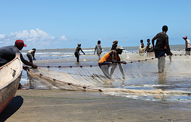 New hub to support sustainable small-scale fisheries growth | SeafoodSource
