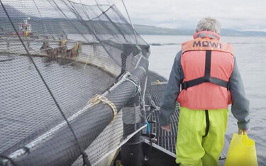 SeafoodSource