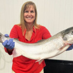 Superior Fresh expanding salmon farm in Wisconsin, looking at ...
