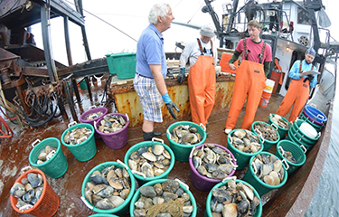 Climate change impacting Atlantic shellfish, and scientists predict it ...