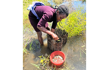 Namibia launches plan to support small-scale fisheries | SeafoodSource