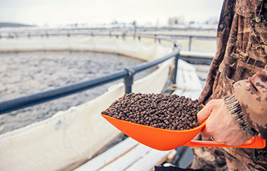 ASC launches public consultations on feed standard and fish welfare ...