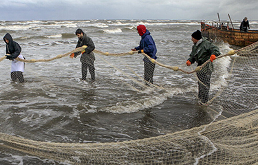 Iranian fish farms suffer USD 170 million in flood damage | SeafoodSource