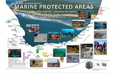 Report finds MPAs in Western Indian Ocean increased significantly since ...