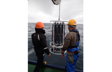 Secrets of intricate subarctic Pacific’s food web laid bare by new ...