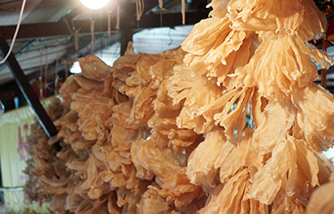Totoaba cartel taken down in Mexico | SeafoodSource