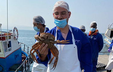 Africa could become unlikely next frontier in crab sourcing for US ...