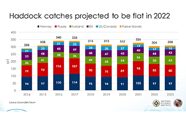 Haddock supply predicted to remain flat in 2023 | SeafoodSource