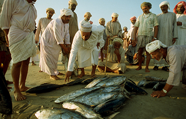 While shifting to aquaculture, UAE proposes fuel subsidy for fisheries ...