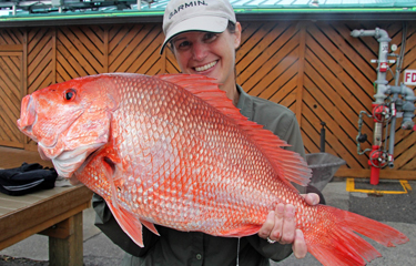 Gulf of Mexico red snapper fishery coming under more permanent state ...