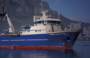 Sea Harvest reports mixed performance in 2021 | SeafoodSource