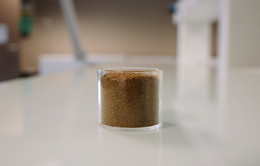 Marubeni, Sumitomo racing to market insect-based aquafeed in Japan ...