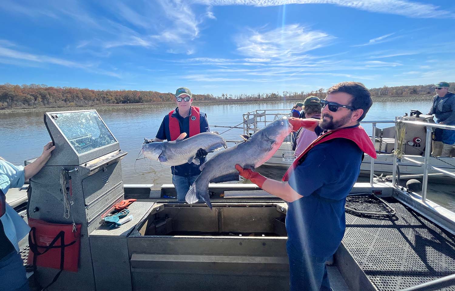 Maryland embarks on marketing campaign for invasive blue catfish ...