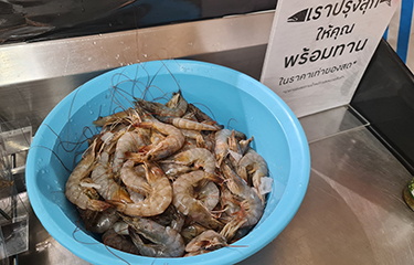 US maintains antidumping duties on shrimp from India, China, Thailand ...