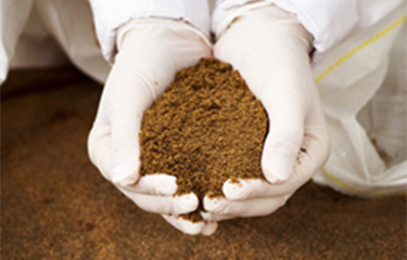 Bangkok-based Full Circle Biotechnology launches new insect-based ...