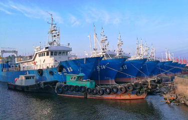 Chinese distant-water firm to build fishing base in Ecuador | SeafoodSource