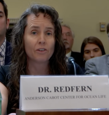 Congress hears arguments on vessel speed limit to protect whales | WorkBoat